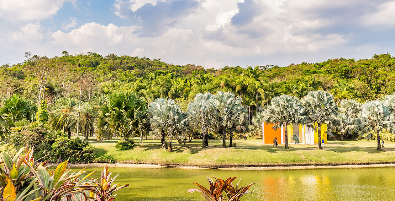 Why You Absolutely Need to Visit Inhotim Brazil - SouthAmerica.travel