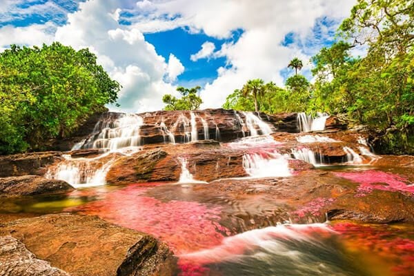 The River of Five Colors, Colombia: A Guide - SouthAmerica.travel