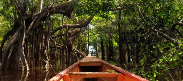 Amazon Adventure Tours | Amazon Rainforest Adventures