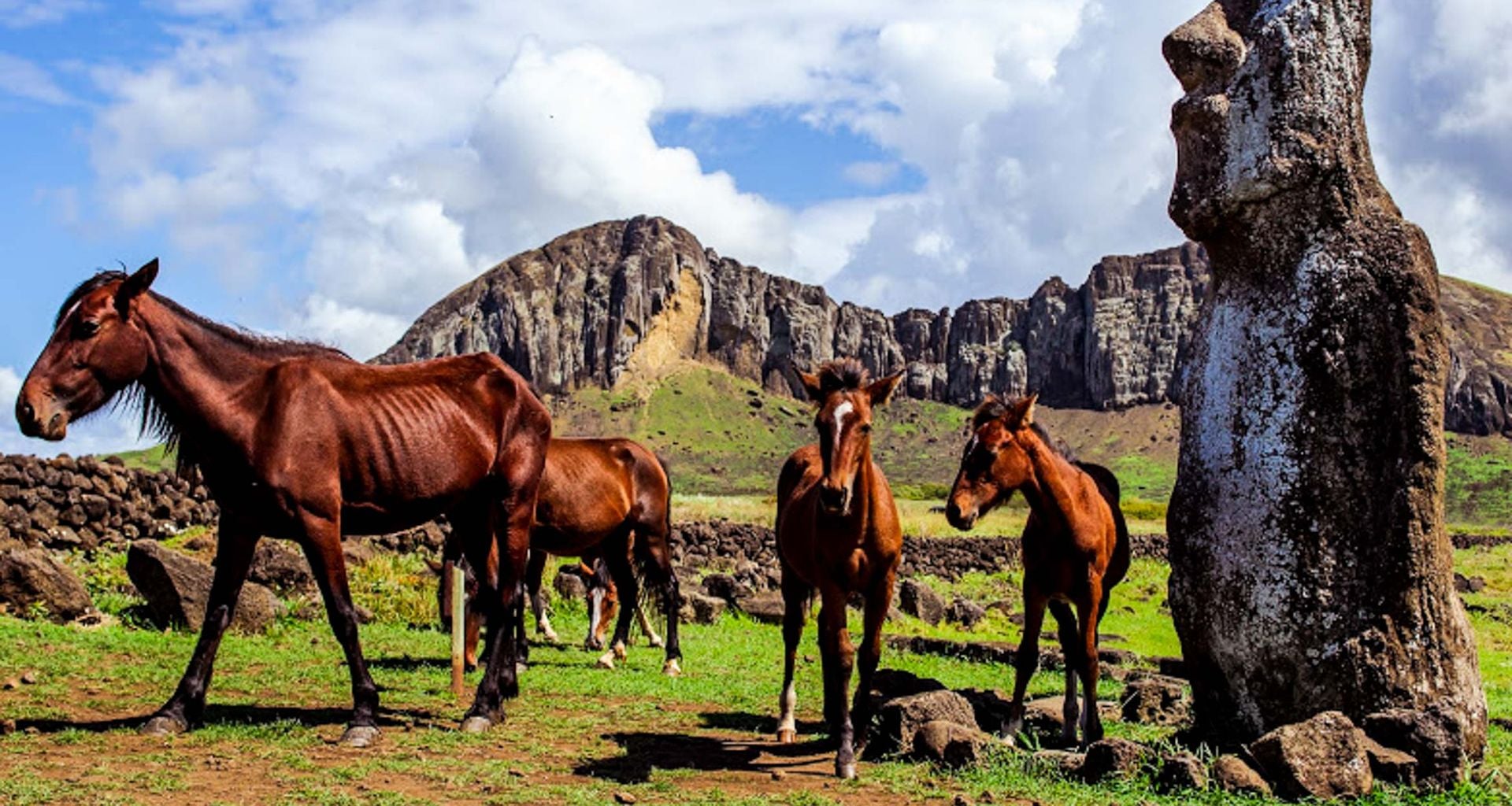 Easter Island and Machu Picchu Tour | 4* & 5* Rapa Nui Trip