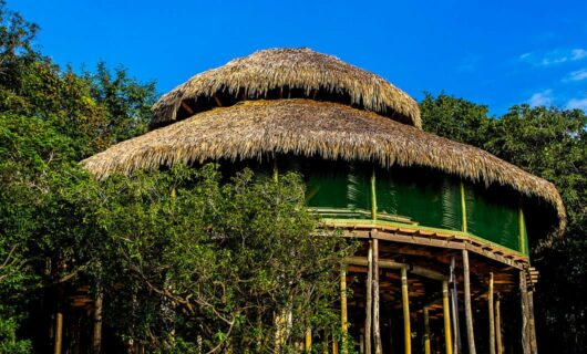 Juma Amazon Lodge | Brazil Amazon Rainforest