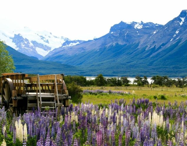 Wonders of Patagonia - SouthAmerica.travel