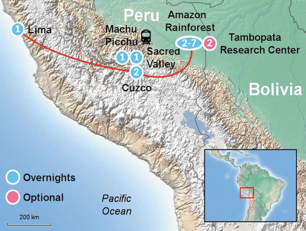 Amazon Rainforest Tours & Cruises | SouthAmerica.travel